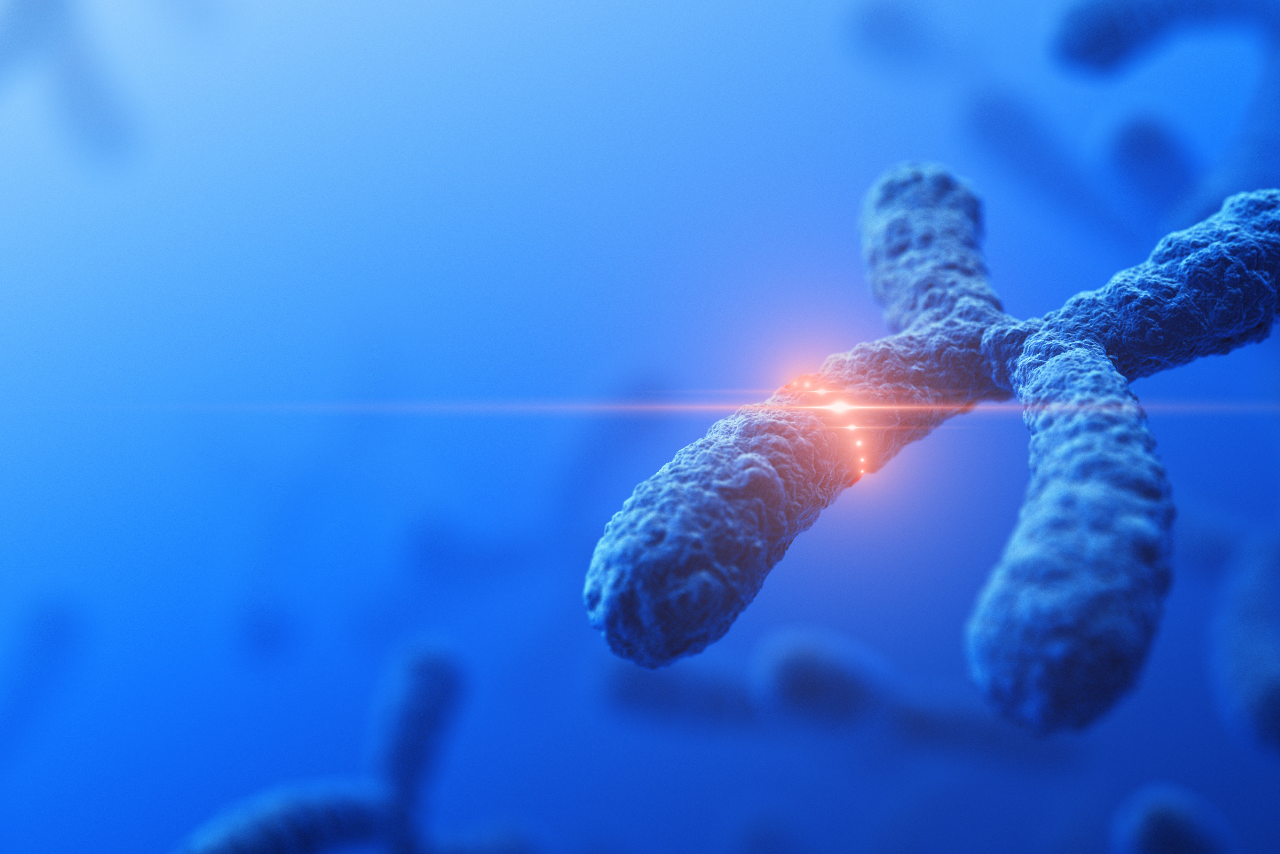 Genetic Engineering Genetic Engineering